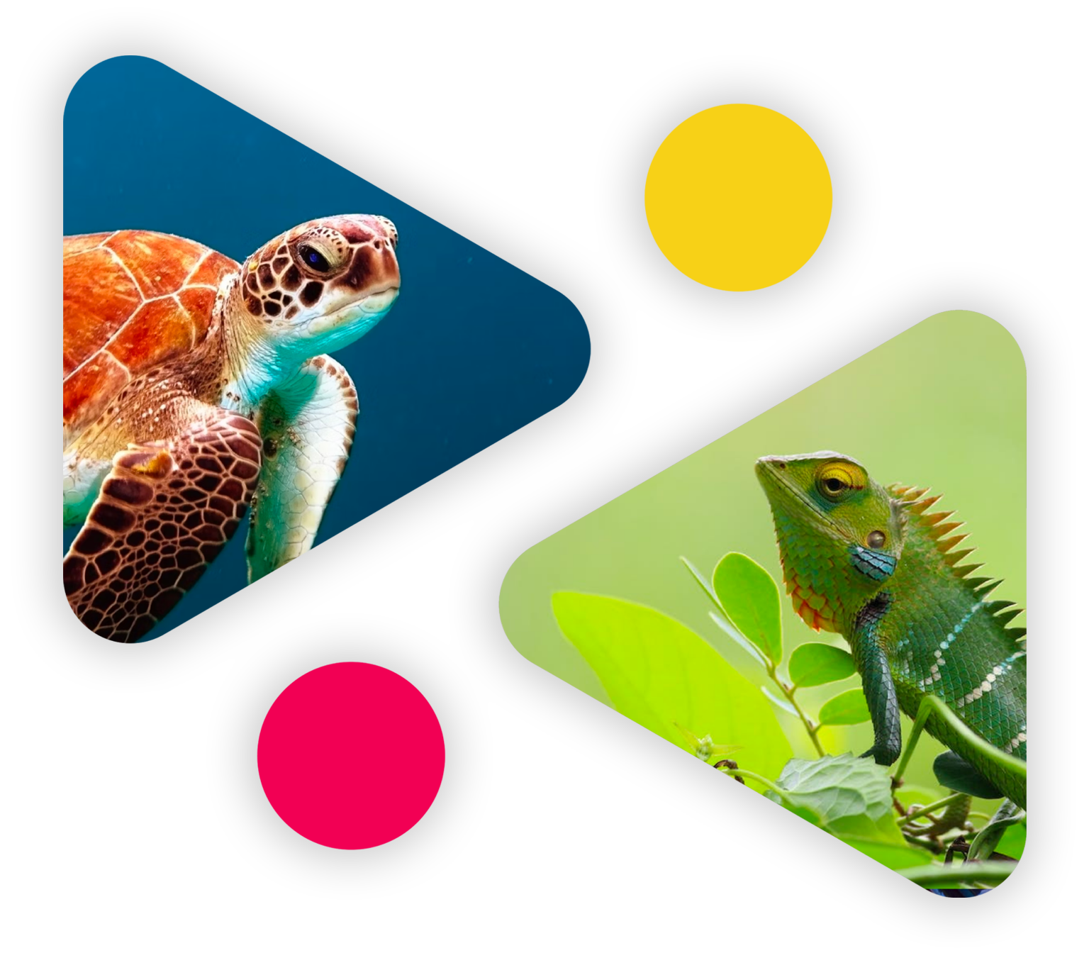 Digital Camp - Build Digital Skills for Your Future